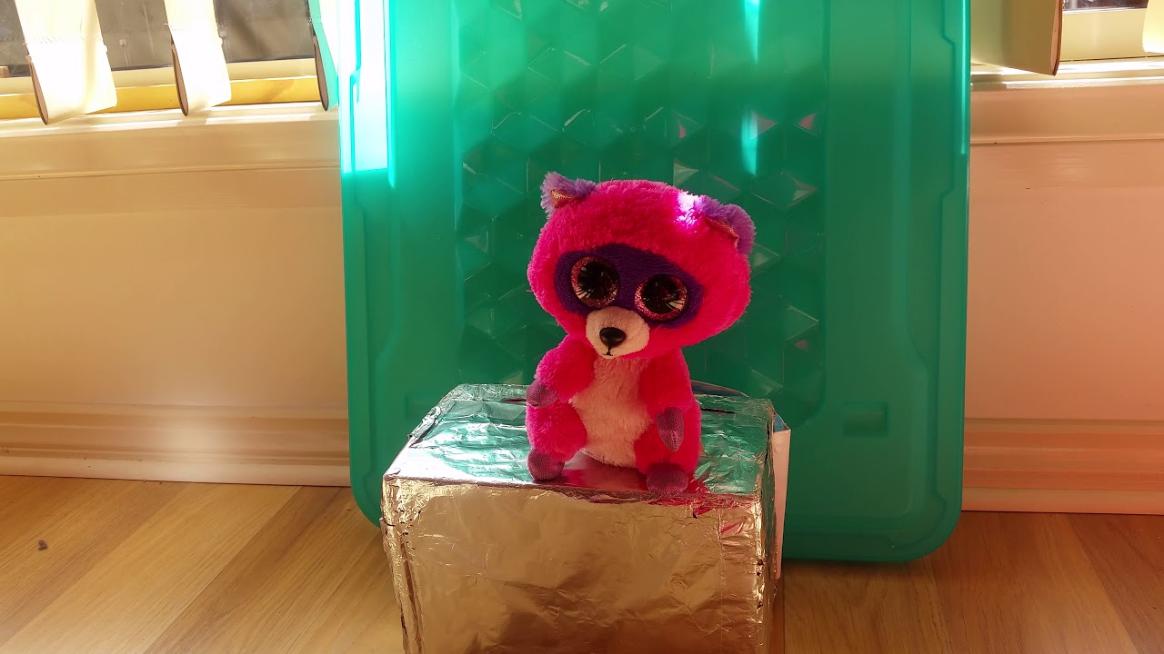 All about Roxy the beanie boo!!!!😀😀☺☺ - YouTube