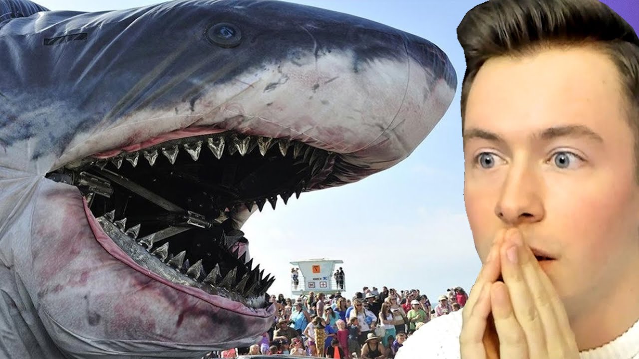 Die 10 GRÖßTEN TIERE aller ZEITEN! - YouTube