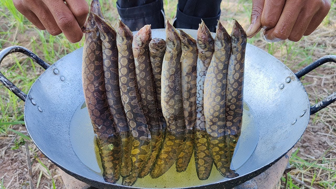 Tasty Deep Fried Peacock Eel with Mango Sauce Recipe / Kdeb Cooking ...
