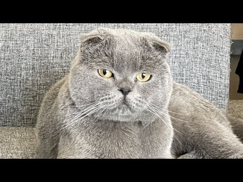 seni çok seviyorum oğlum.