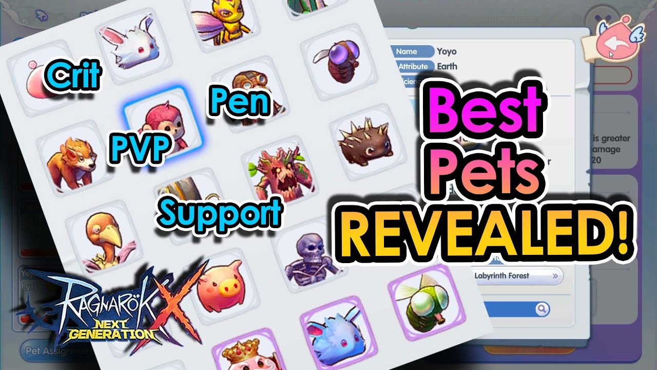 [ROX Global] BEST Pets for Your Build in ROX Global (CRIT, PEN, Support build) | King Spade ...