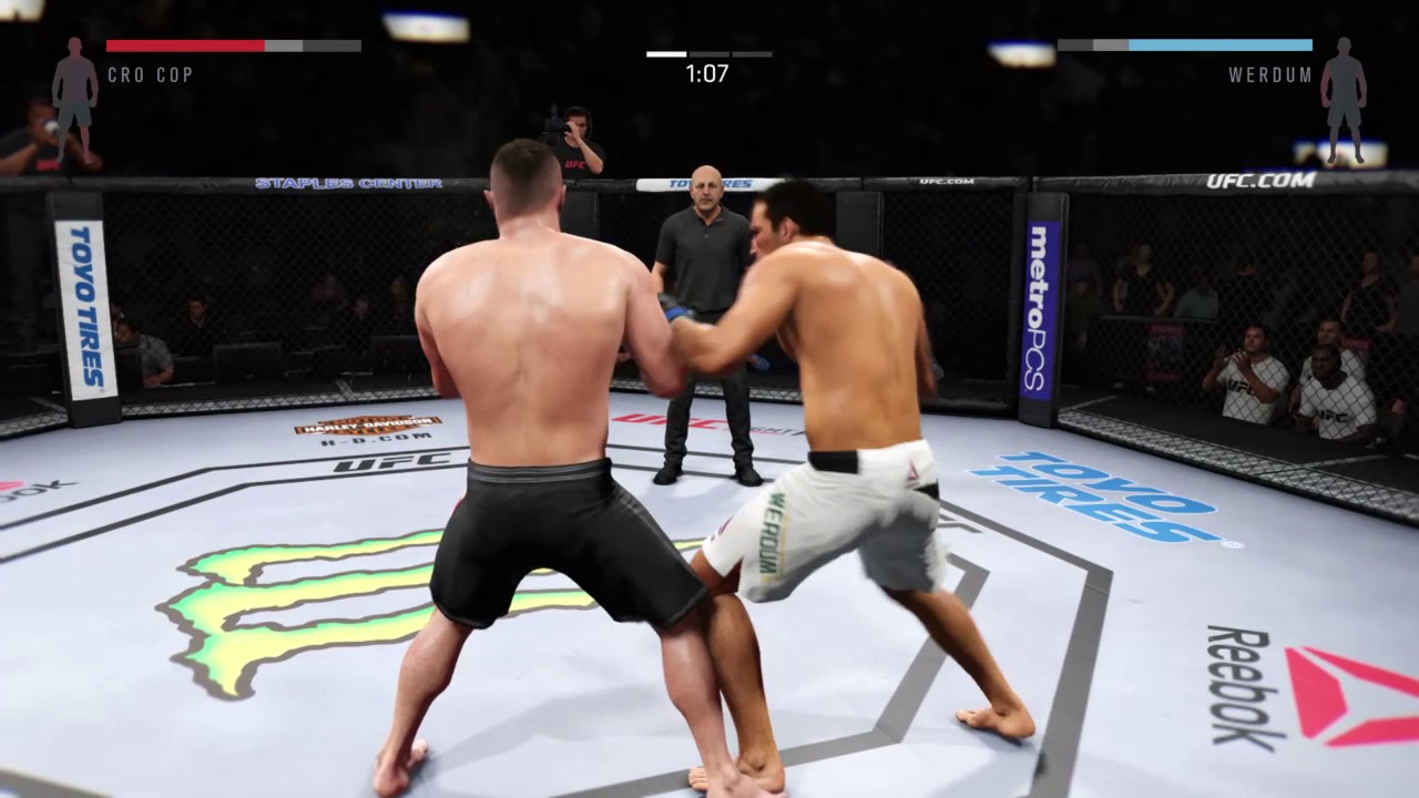 UFC2 PS4 Cro Cop vs Werdum - YouTube