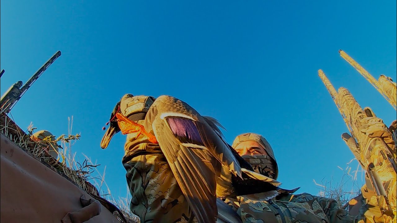 Texas Duck & Sandhill Crane Hunt: Muddy Water Outfitters - YouTube