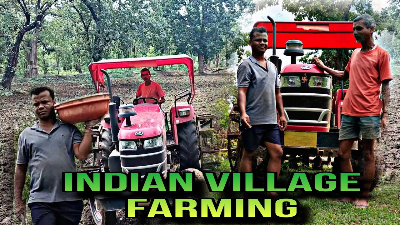 Indian village farming । chhattisgarh village farming । village farmer ...