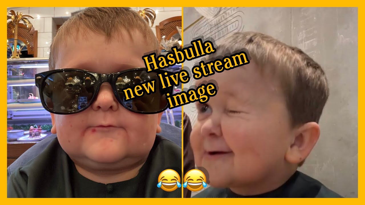 Mini Hasbulla new live stream image - 😂😂 - YouTube