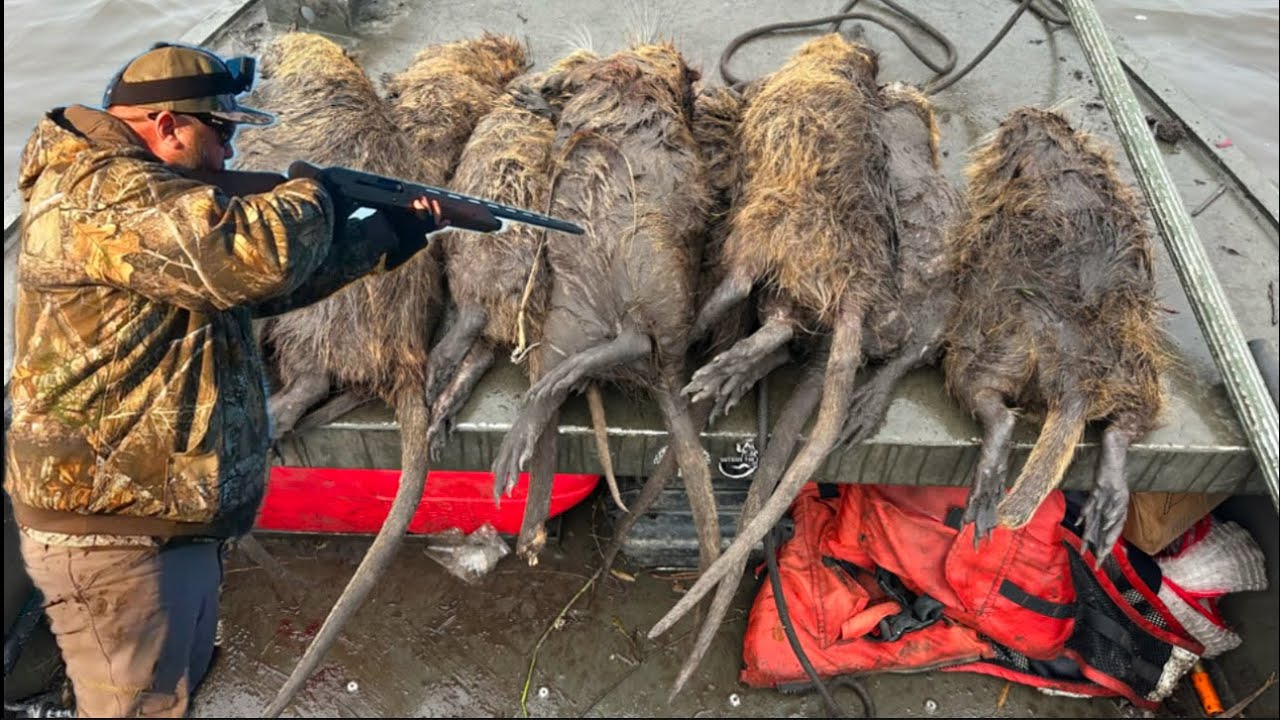 Hunting Giant Nutria RATS from a Moving Boat! Catch Clean Cook! - YouTube