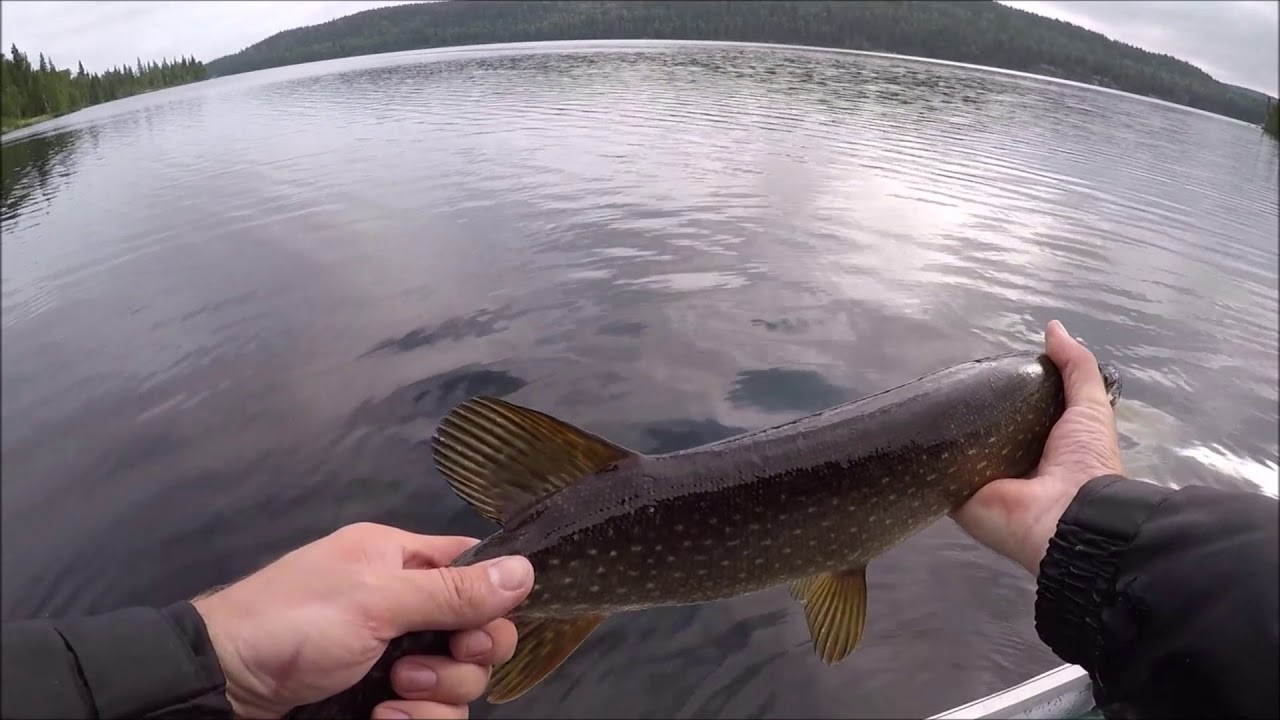 Pourvoirie Kanawata, Lac Manouane: Vidéo 1 - YouTube