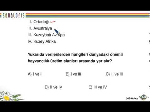 ÜLKELER ARASI ETKİLEŞİM - KKT - 27483
