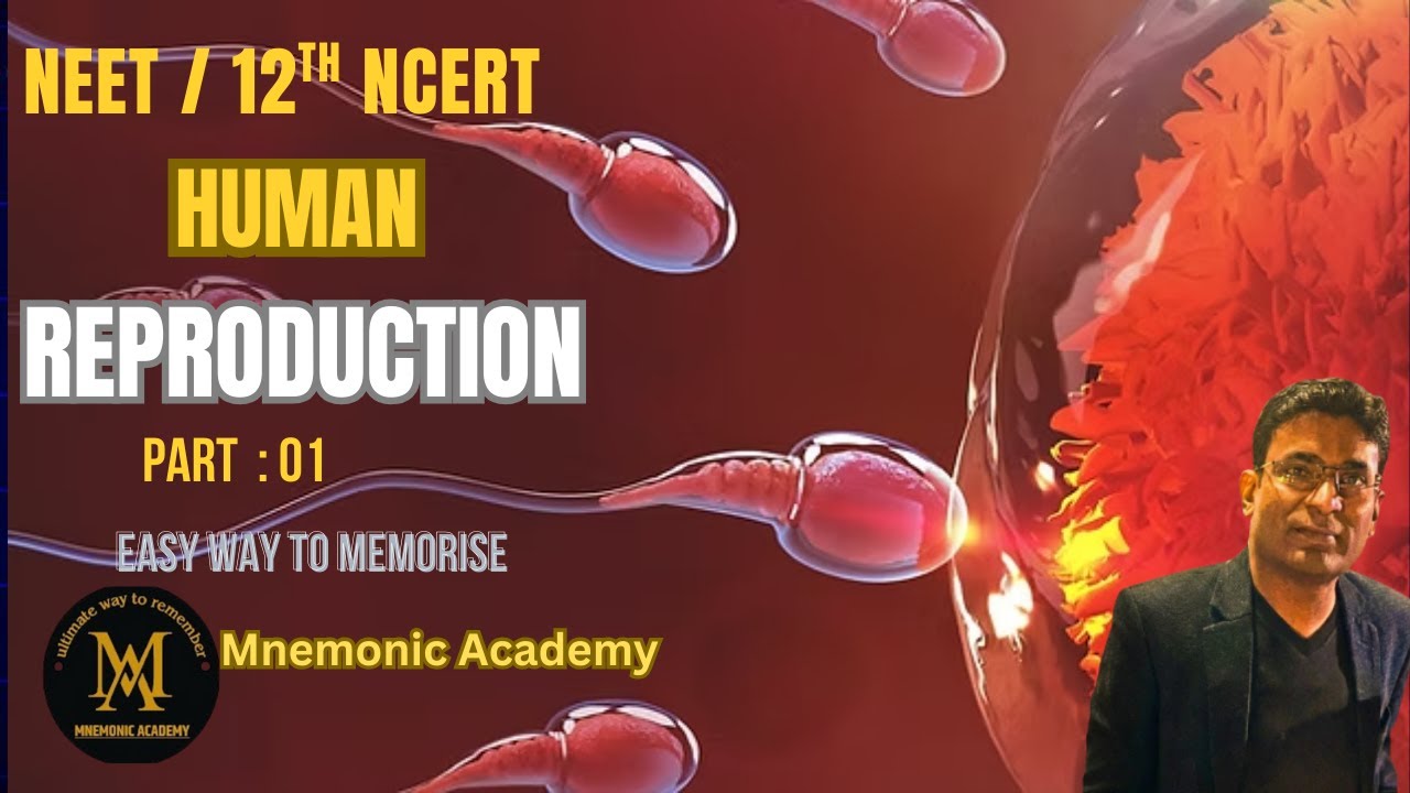 NEET Human Reproduction Part 1 | Unique NCERT Mnemonics & Tricks ...