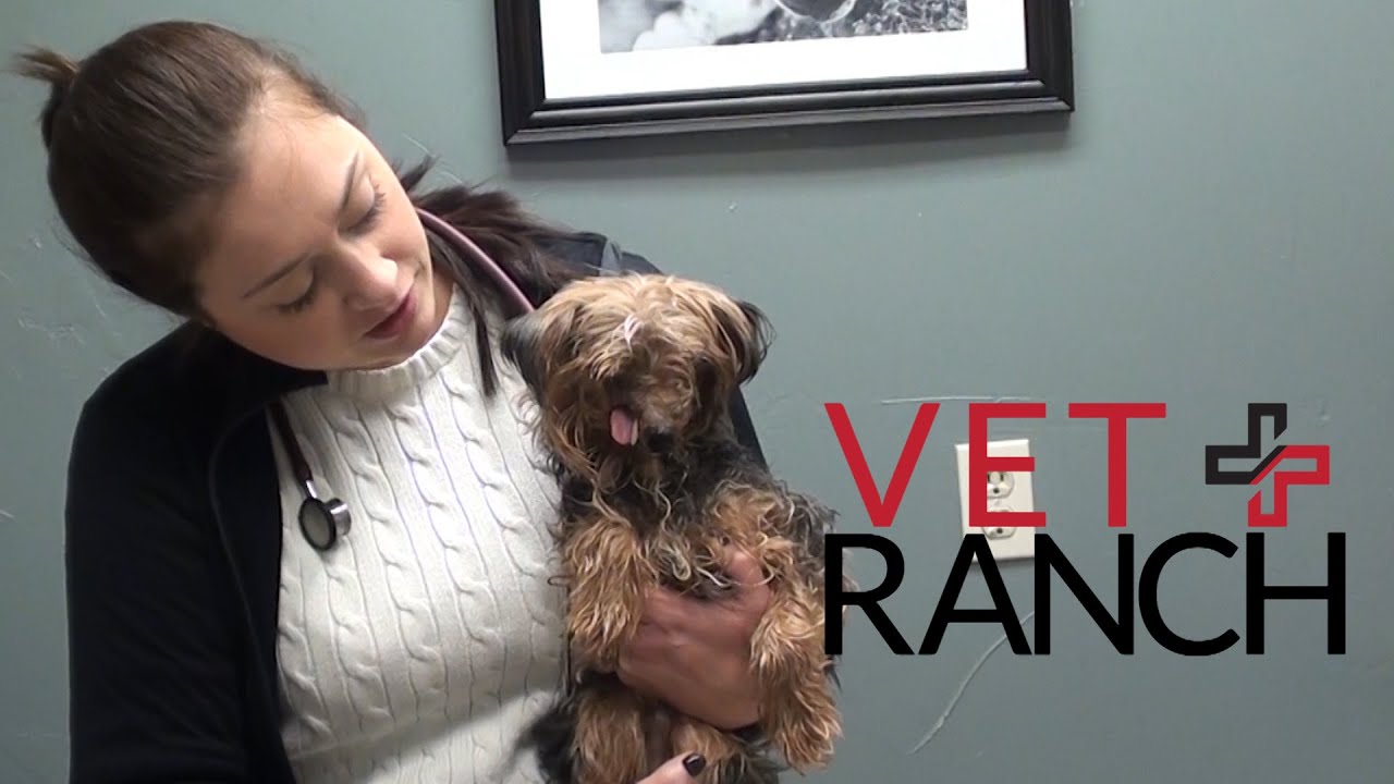 Beauty is Only Skin Deep - YouTube