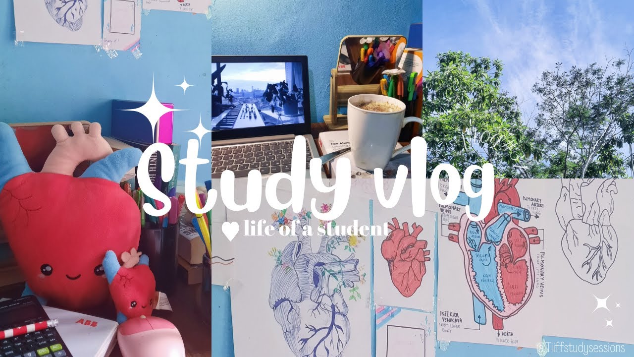 Study vlog 💻very productive, routine vlog🐬, life of a student, 💫 🏽 ...