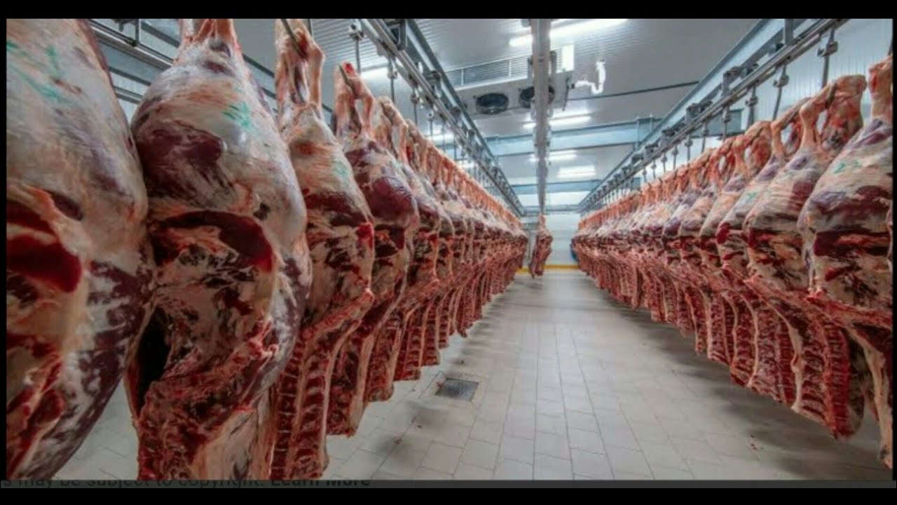 Amazing..Meat Processing Technology - YouTube