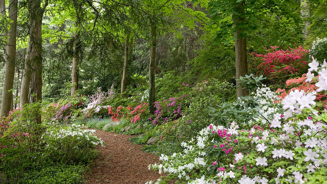 95 Old Roaring Brook Road Mt. Kisco NY Real Estate 10549 - YouTube