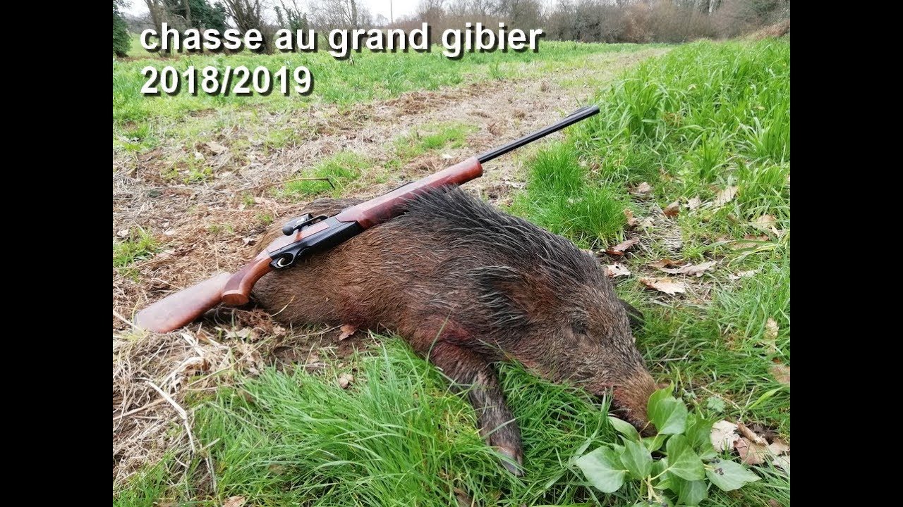 chasse au grand gibier - YouTube