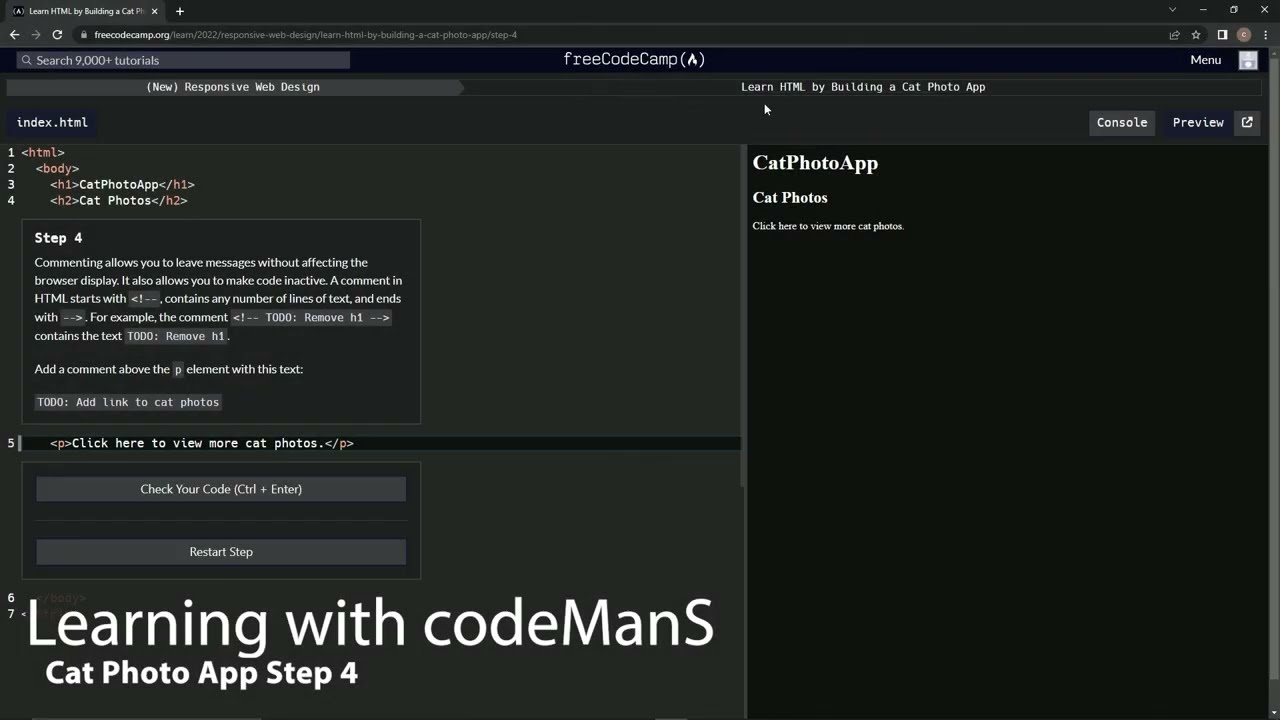 Learn2code Freecodecamp New Responsive Web Design Cat Photo App