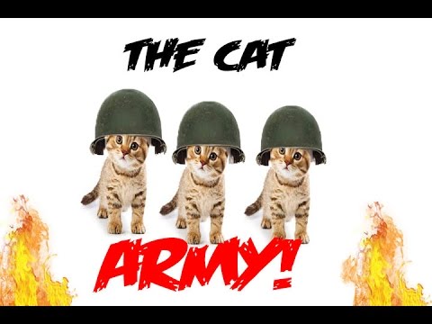 THE CAT ARMY!| Garry's Mod - YouTube