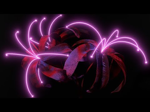 Spider Lily Render - YouTube