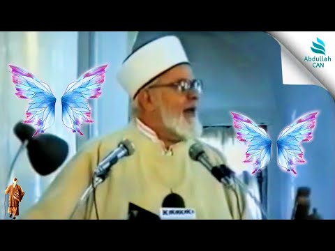 MELEKLERİN KANATLARINI AYAKLARININ ALTINA SERDİĞİ İNSANLAR - Tahir Büyükkörükçü Sohbetleri
