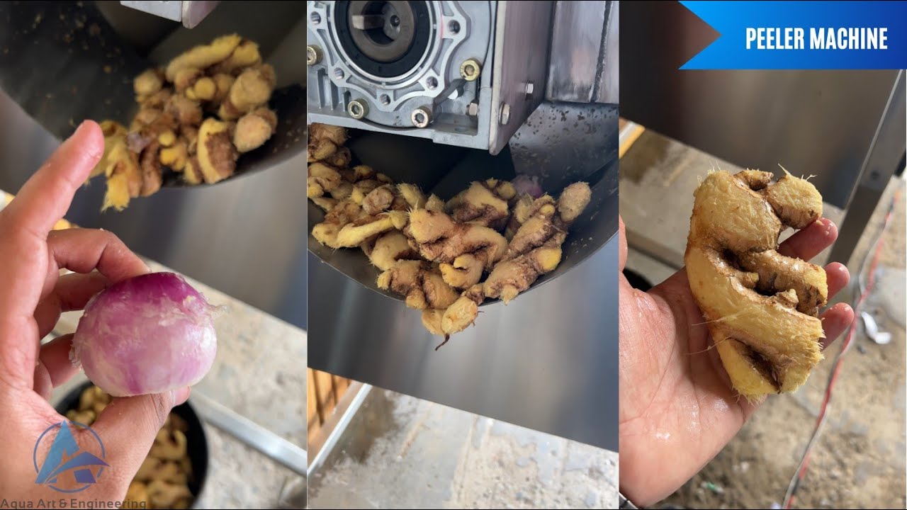 Ginger Peeler Machine | Onion Peeling Machine | Carrot Peeling Machine | Automatic Peeling ...
