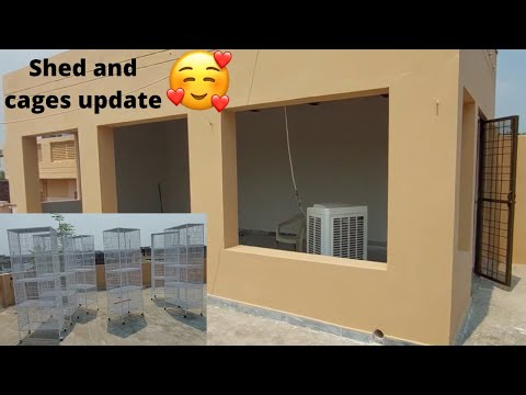 Paint ka kaam shuru | Cages paint ker dye | HWI Aviary