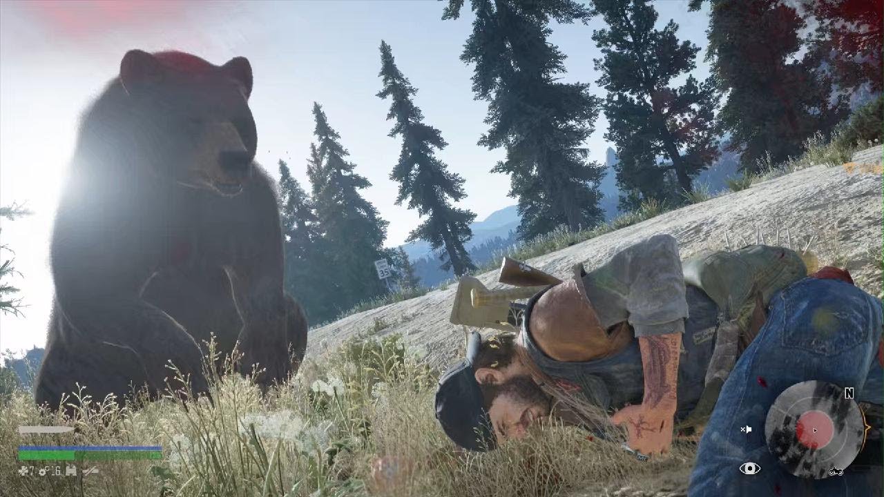 DAYS GONE bear - YouTube