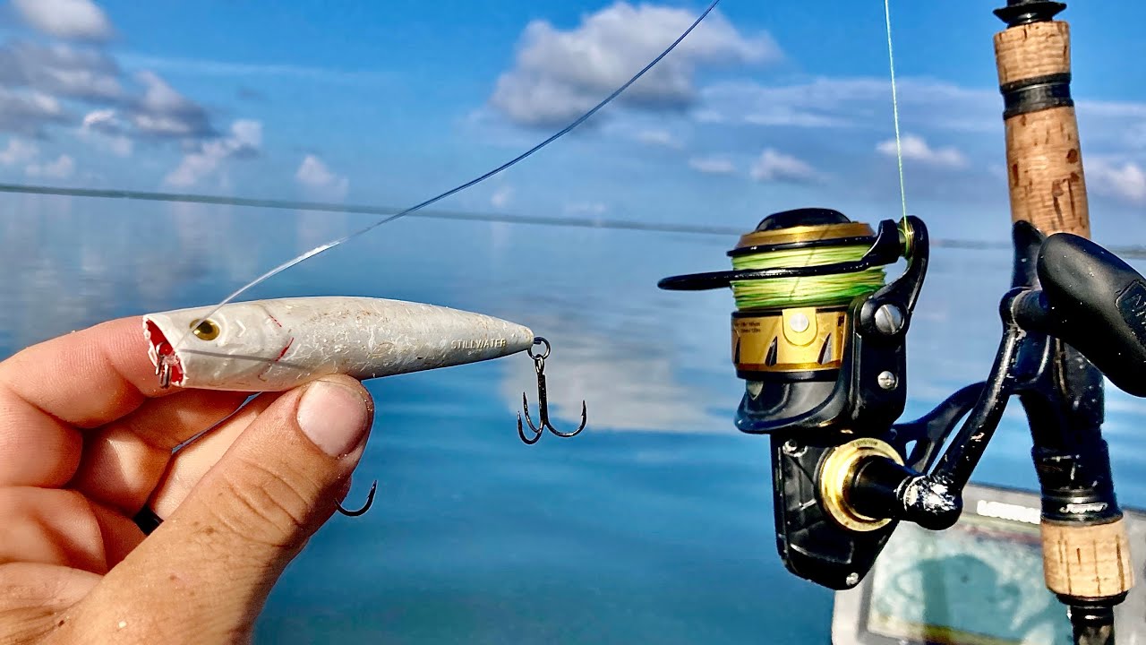Jigging + Popper Action On A Hot Summer Day! (Catch, Clean, Cook) - YouTube