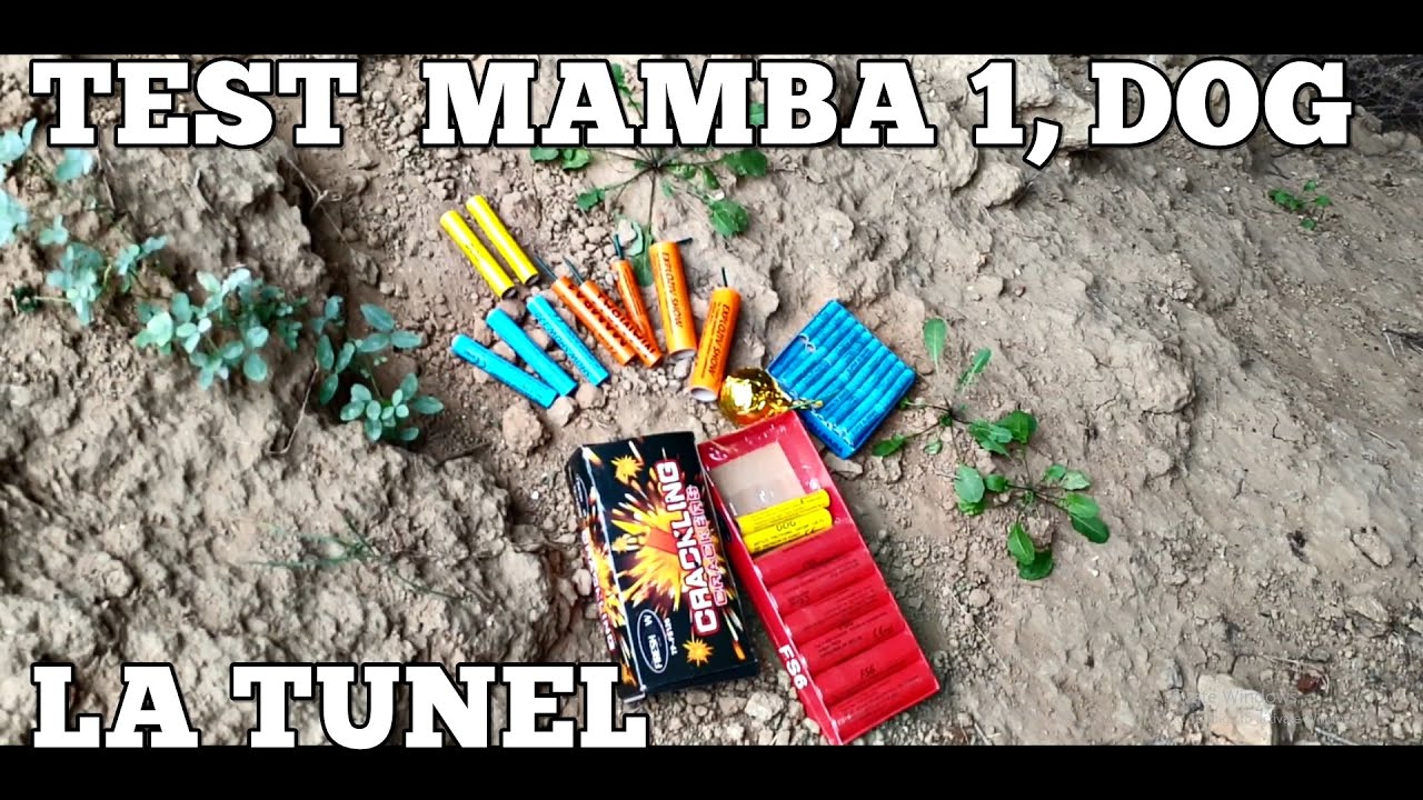 TESTEZ PETARDE din 2023 LA TUNEL - DOG, MAMBA 1, FS6 - YouTube