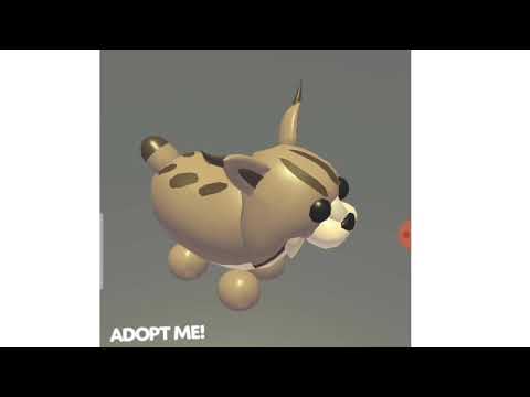 New(Lynx)Pet Coming To Adopt Me!!!🤯🤯 - YouTube