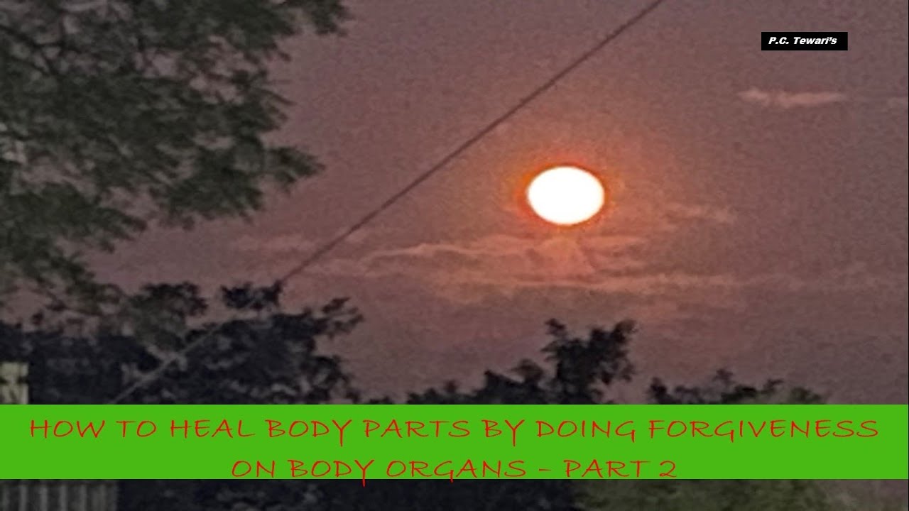 Body Organs & Body Parts : How to heal body parts by doing Forgiveness ...