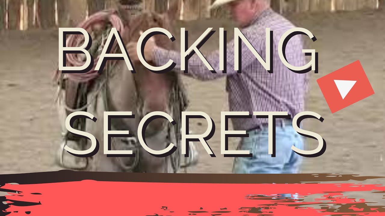 Teach Your Horse To Back Up, Both On the Ground AND In the Saddle Bryan ...