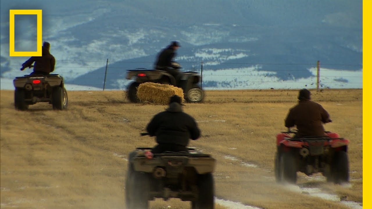 Four Wheeler Race | American Colony: Meet the Hutterites - YouTube