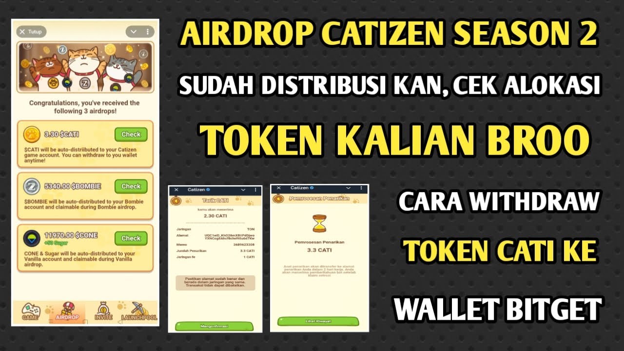 Airdrop Catizen Season 2 Distribusi, Cek Alokasi Token Cati Kalian Broo ...