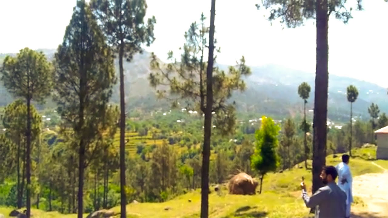 Oghi (اوگی) is a town in District Mansehra of the Khyber Pakhtunkhwa ...