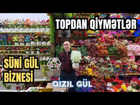 Azərbaycanda Ən Böyük Süni Gül Topdançısı? | Qızıl Gül