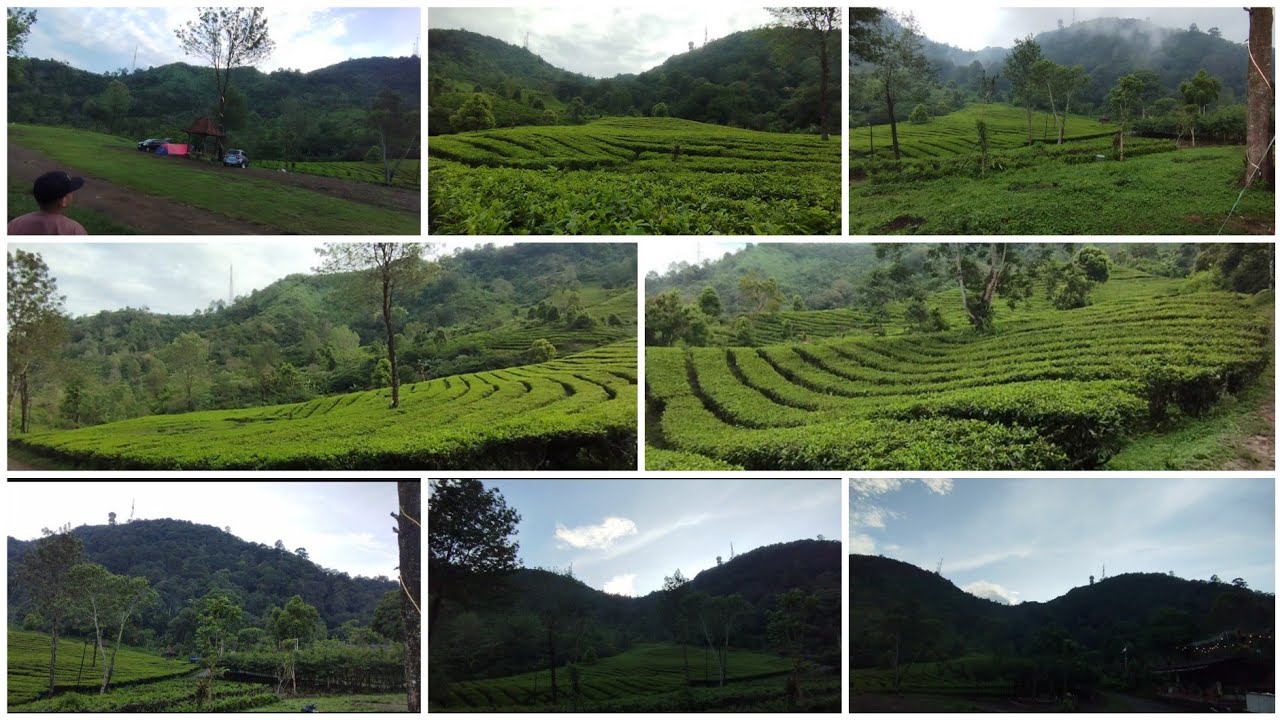 (part 2)Trip to Pinus Eco Park Camping Ground @Puncak, Bogor - Jawa ...