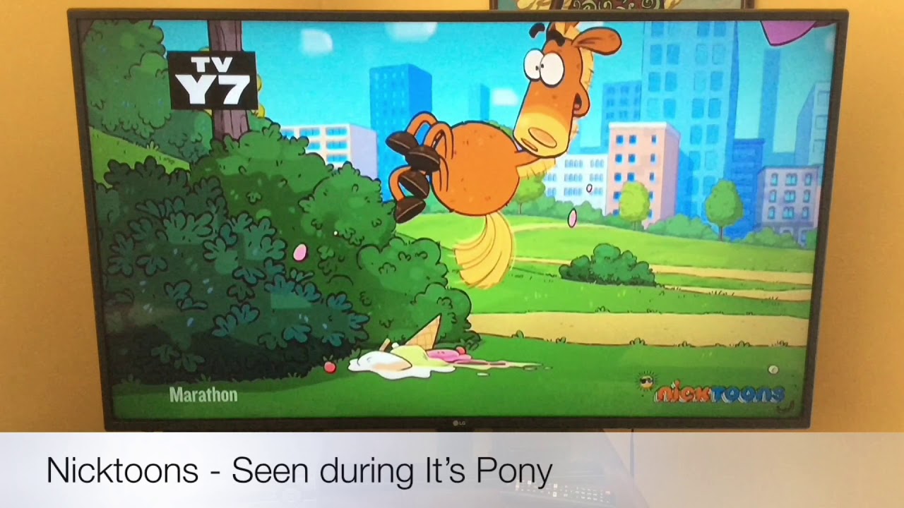 All 5 Summer Screen Bugs (2020) - YouTube