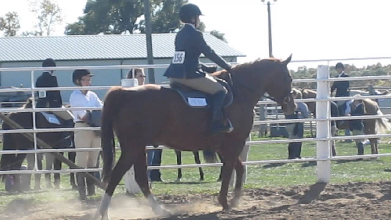 TSU 10/12/13 Rebecca Rohde - YouTube