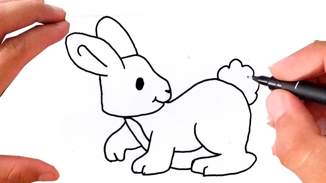 Como Desenhar um COELHO | how to draw a rabbit | cómo dibujar un conejo ...