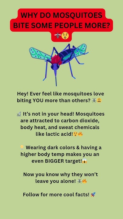 Why Do Mosquitoes Bite Some People More 🦟😲 || Are You a Mosquito Magnet ...