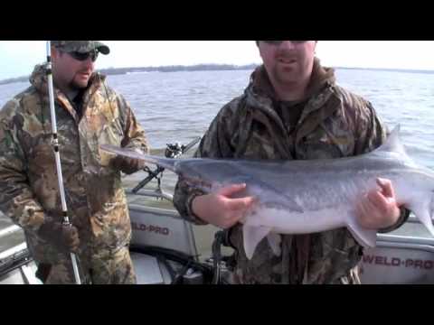 Spoonbill Snagging Action! BIG PADDLEFISH PULLING HARD. - YouTube