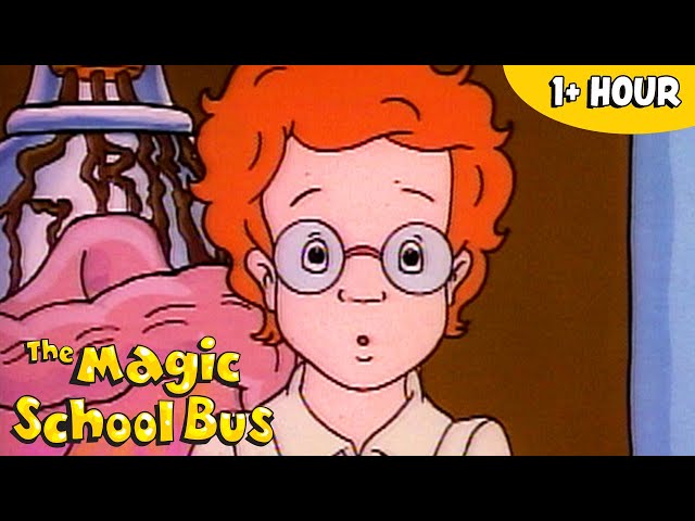 Arnold Magic School Bus Book The Magic School Bus Has A Heart By Anne