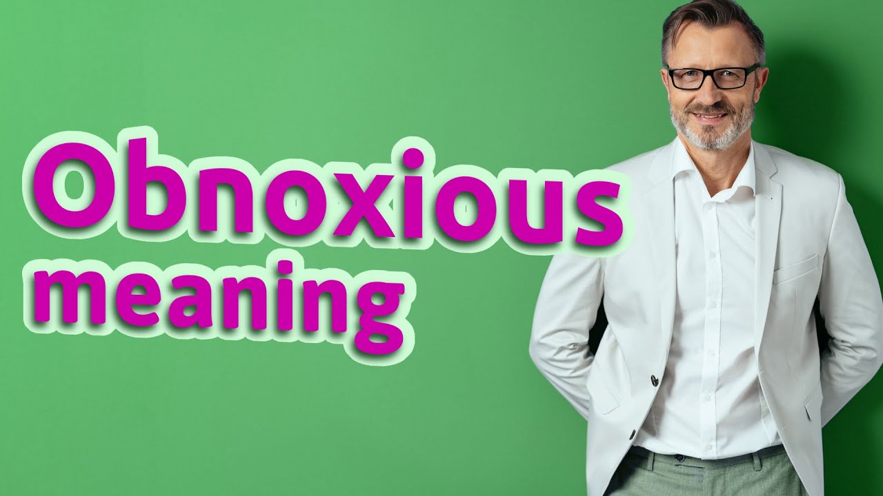 Obnoxious Meaning Of Obnoxious YouTube