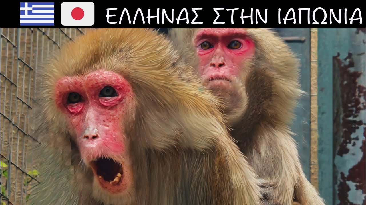 ΕΛΛΗΝΑΣ ΣΤΗΝ ΙΑΠΩΝΙΑ - YouTube