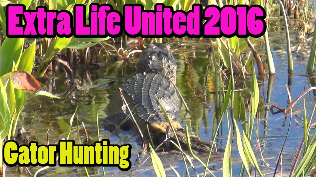Gator Hunting & Mindcrack Hotel - Extra Life United 2016 - YouTube