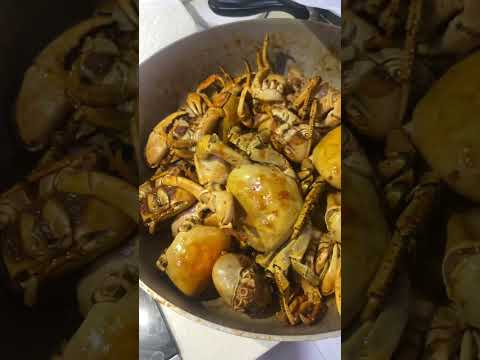Land Crab Hunting|Catch and Cook|Cayman Islands - YouTube