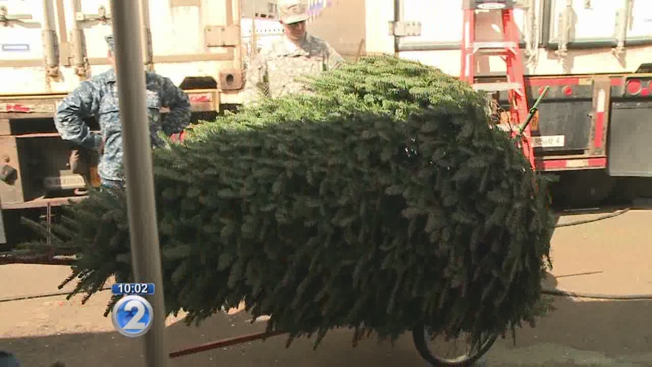 Honolulu City Council proposes a change to Christmas tree ban in public ...
