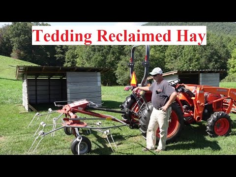 Tedding Hay on the Reclaimed Field - YouTube