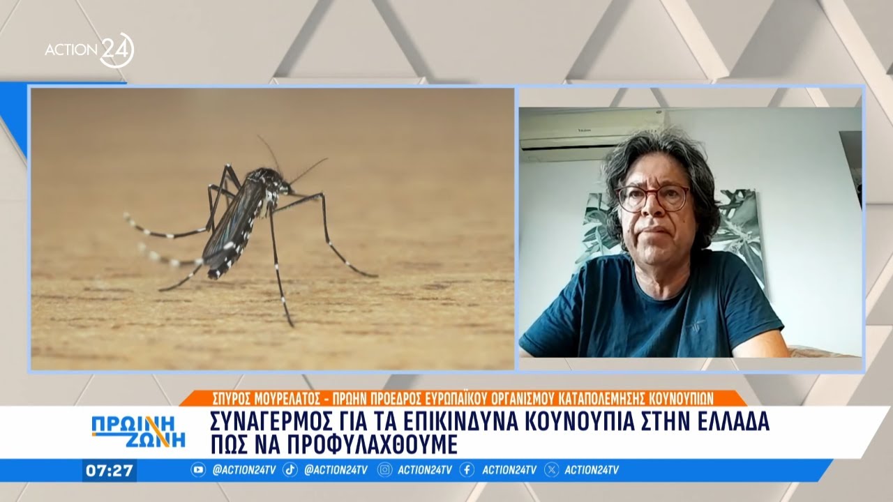«Συναγερμός» για τα επικίνδυνα κουνούπια στην Ελλάδα - Πώς μπορούμε να ...