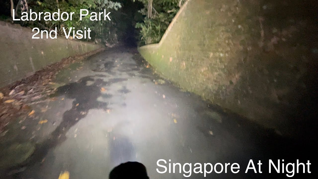 The Return of Labrador Park and We have two Guests (Singapore At Night ...
