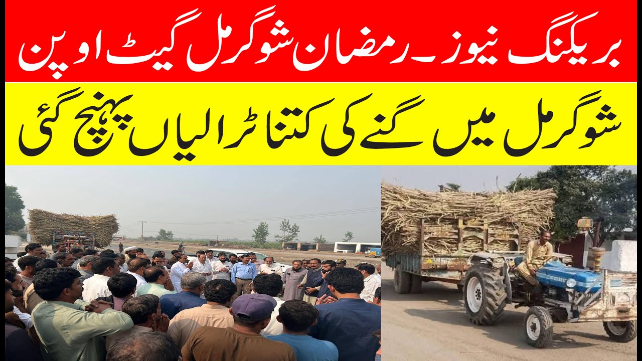 Breaking News Ramadan Sugar Mill Gate Open 2025-26 - YouTube